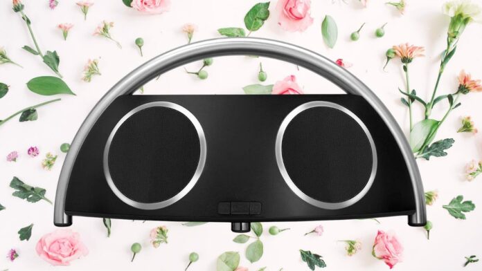 Mua loa Harman Kardon Go Play 2 cần quan tâm đến gì?